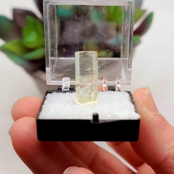 Accents | Aquamarine Crystal Mineral Thumbnail Specimen | Poshmark